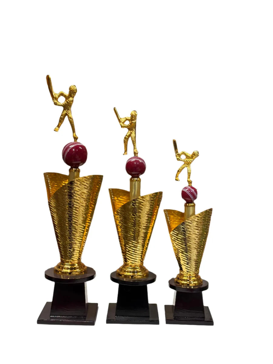 All-Rounder Cricket Trophy – Best Performer Award | Europe – Cricketer ...